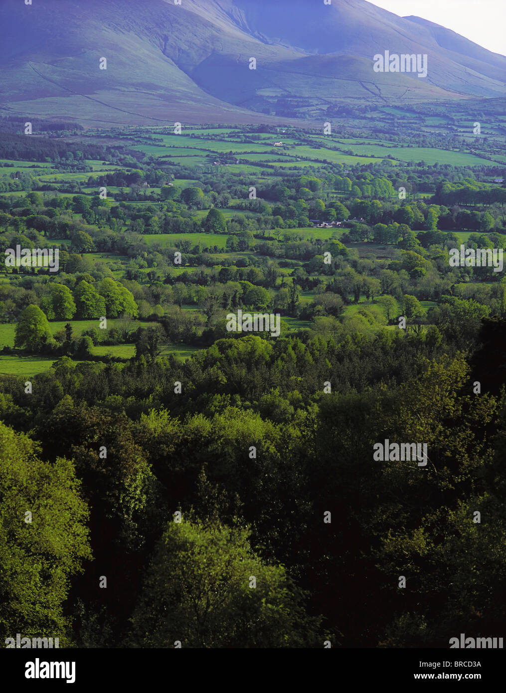Glen of aherlow tipperary hi-res stock photography and images - Alamy