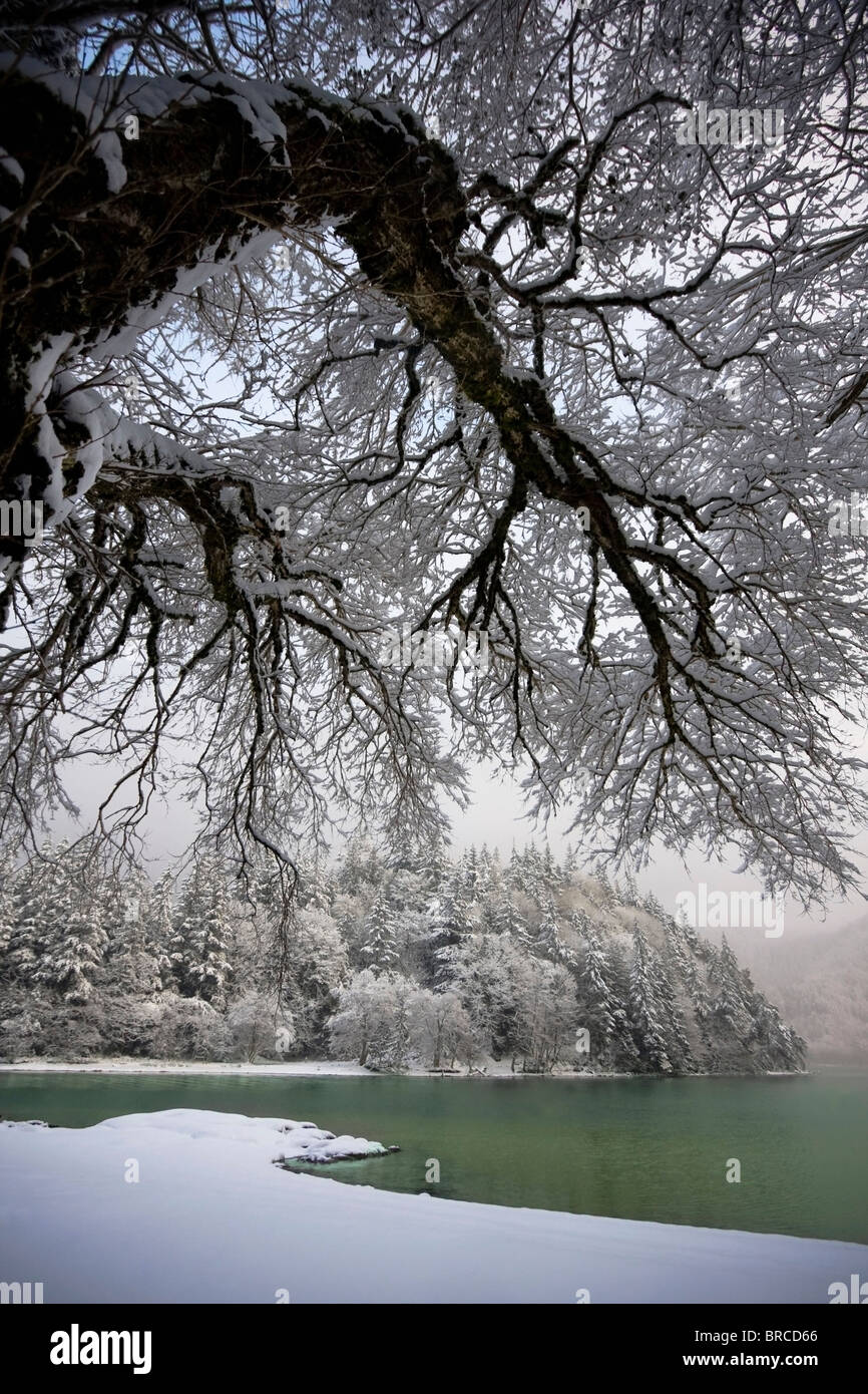 Snowy Shoreline Of A Lake Stock Photo - Alamy
