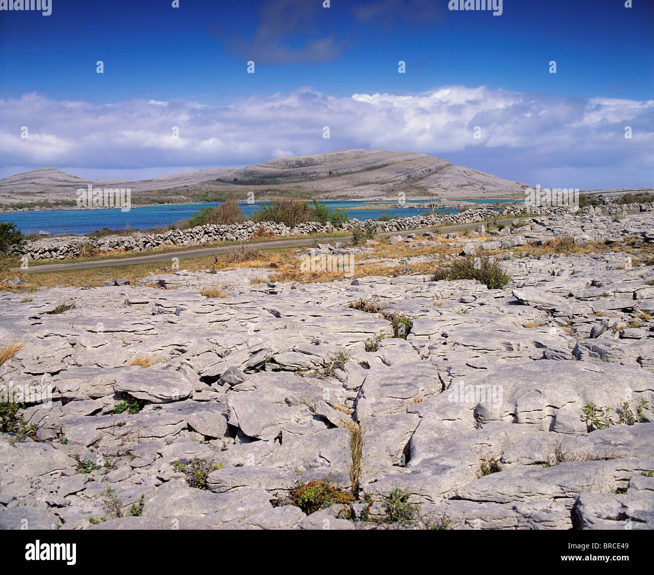 The Burren County Clare Ireland Curry