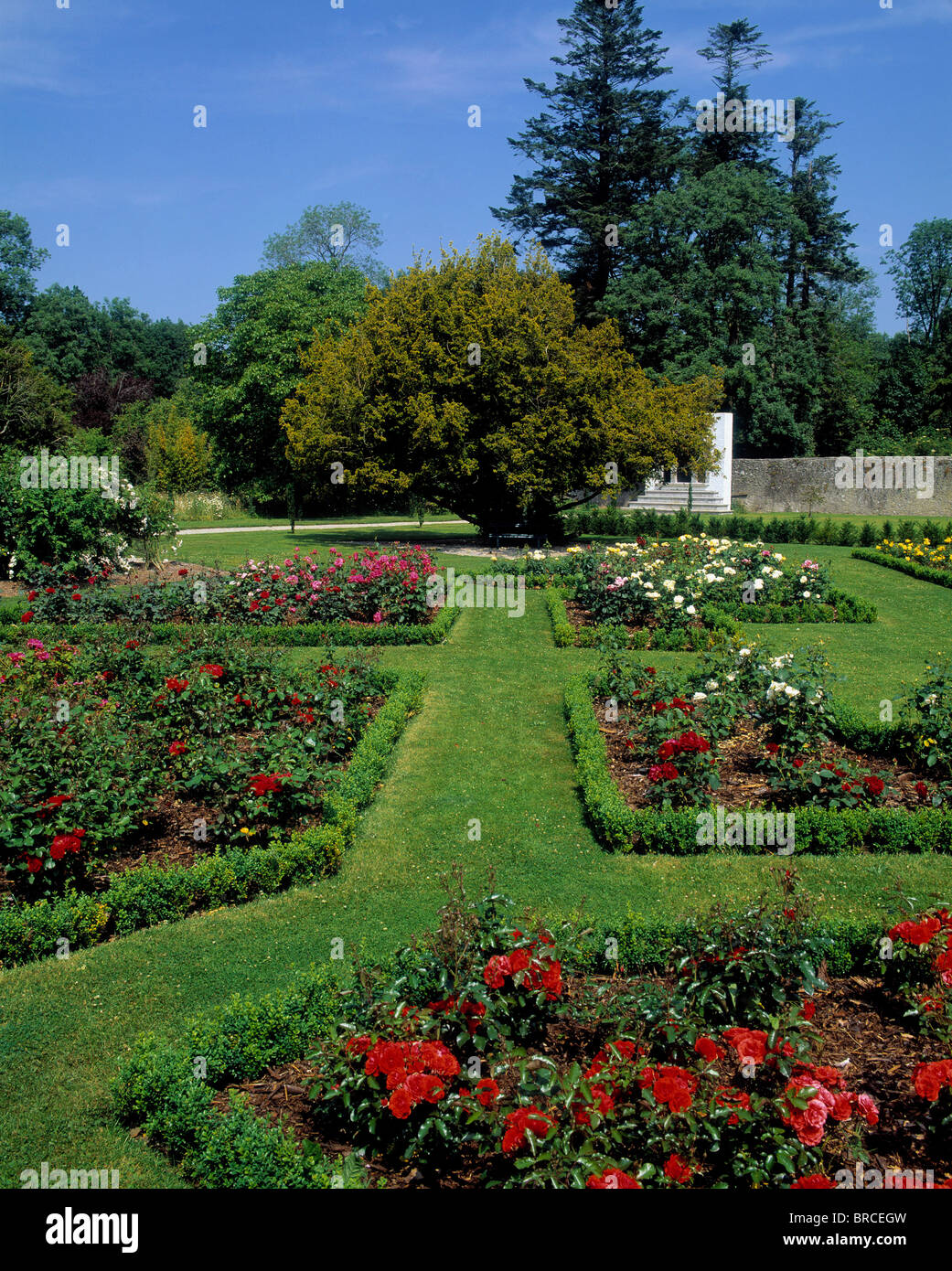 Strokestown Park, Co Roscommon, Ireland; Rose Garden Stock Photo - Alamy