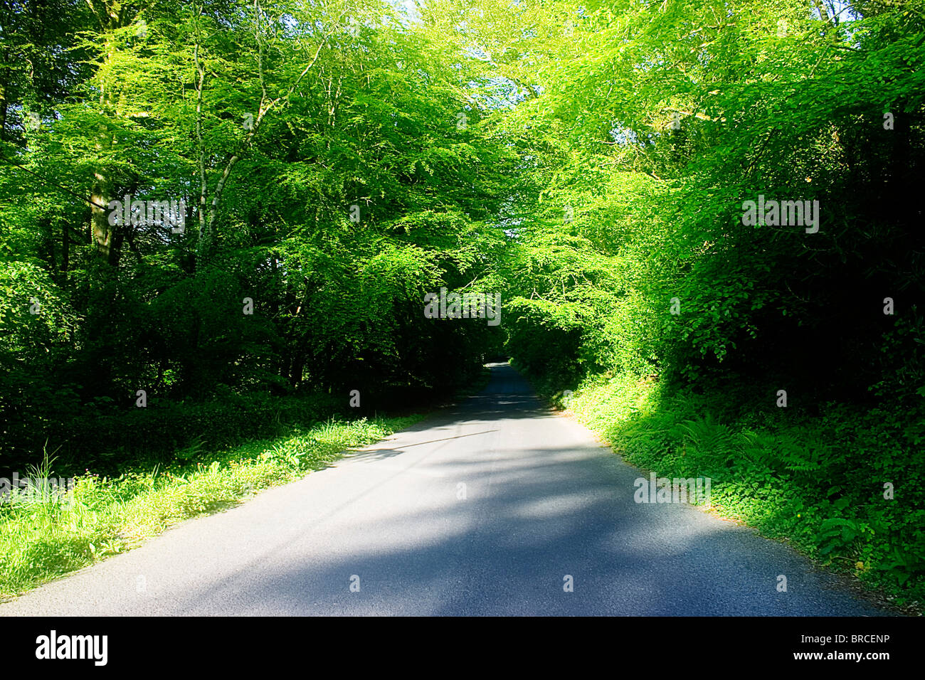Stradbally, Co Waterford, Ireland Stock Photo - Alamy