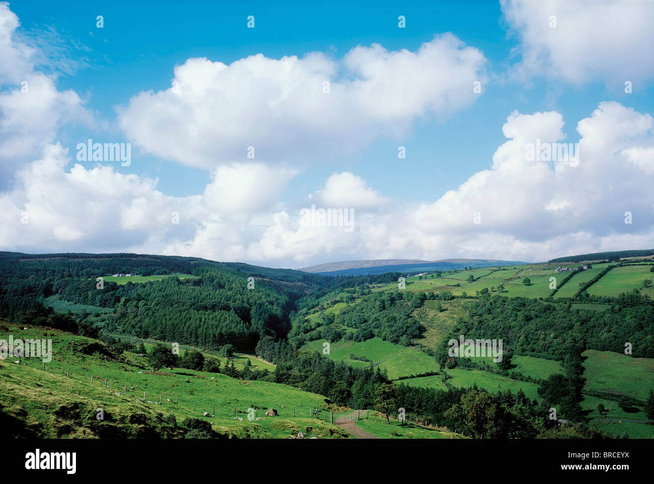 Glenariffe hi-res stock photography and images - Alamy
