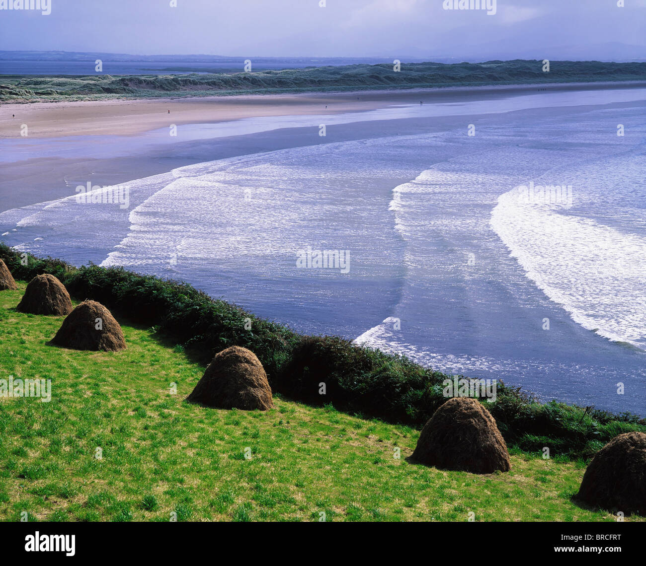 Inch Beach, Co Kerry, Ireland Stock Photo - Alamy