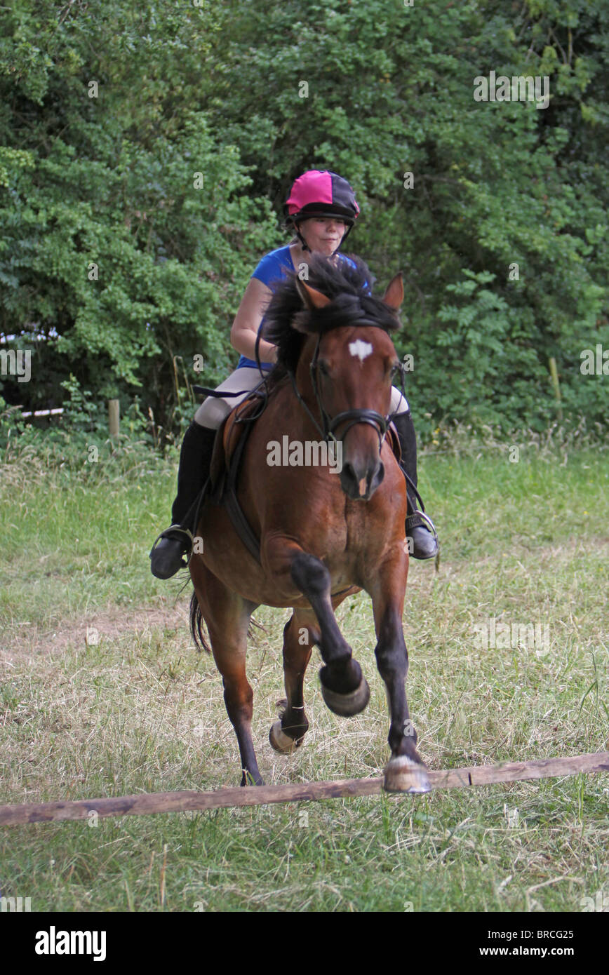 A teenage girl riding a beautiful bay Welsh Cob Stock Photo - Alamy