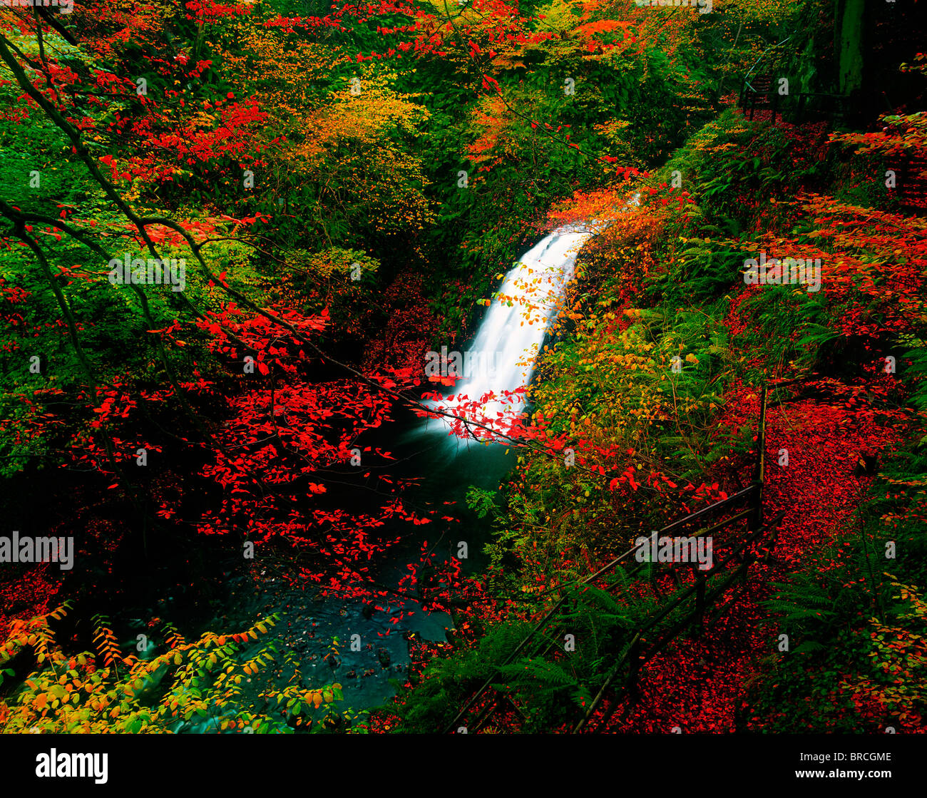 Glenoe waterfall hi-res stock photography and images - Alamy