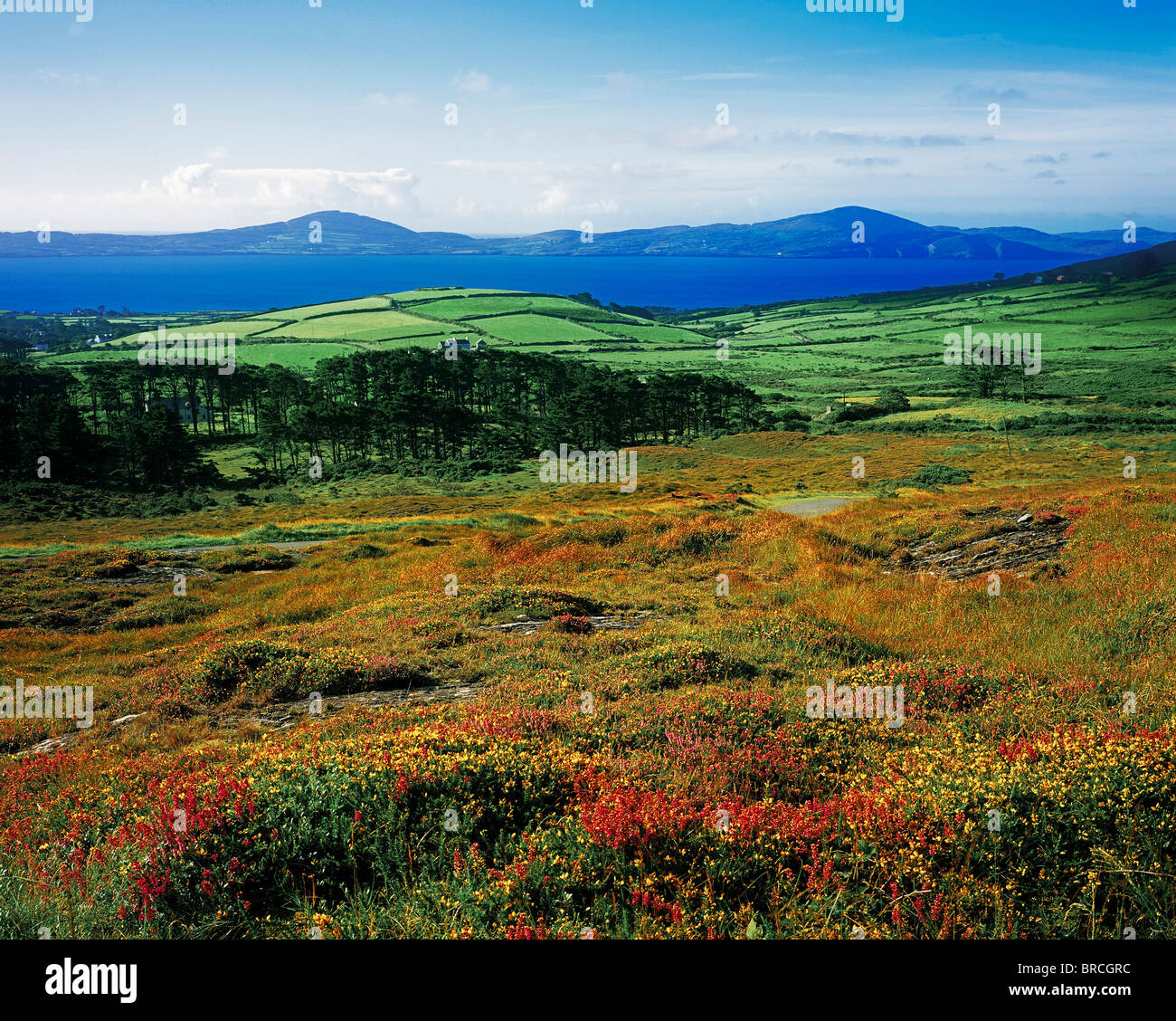 Kilcrohane hi-res stock photography and images - Alamy
