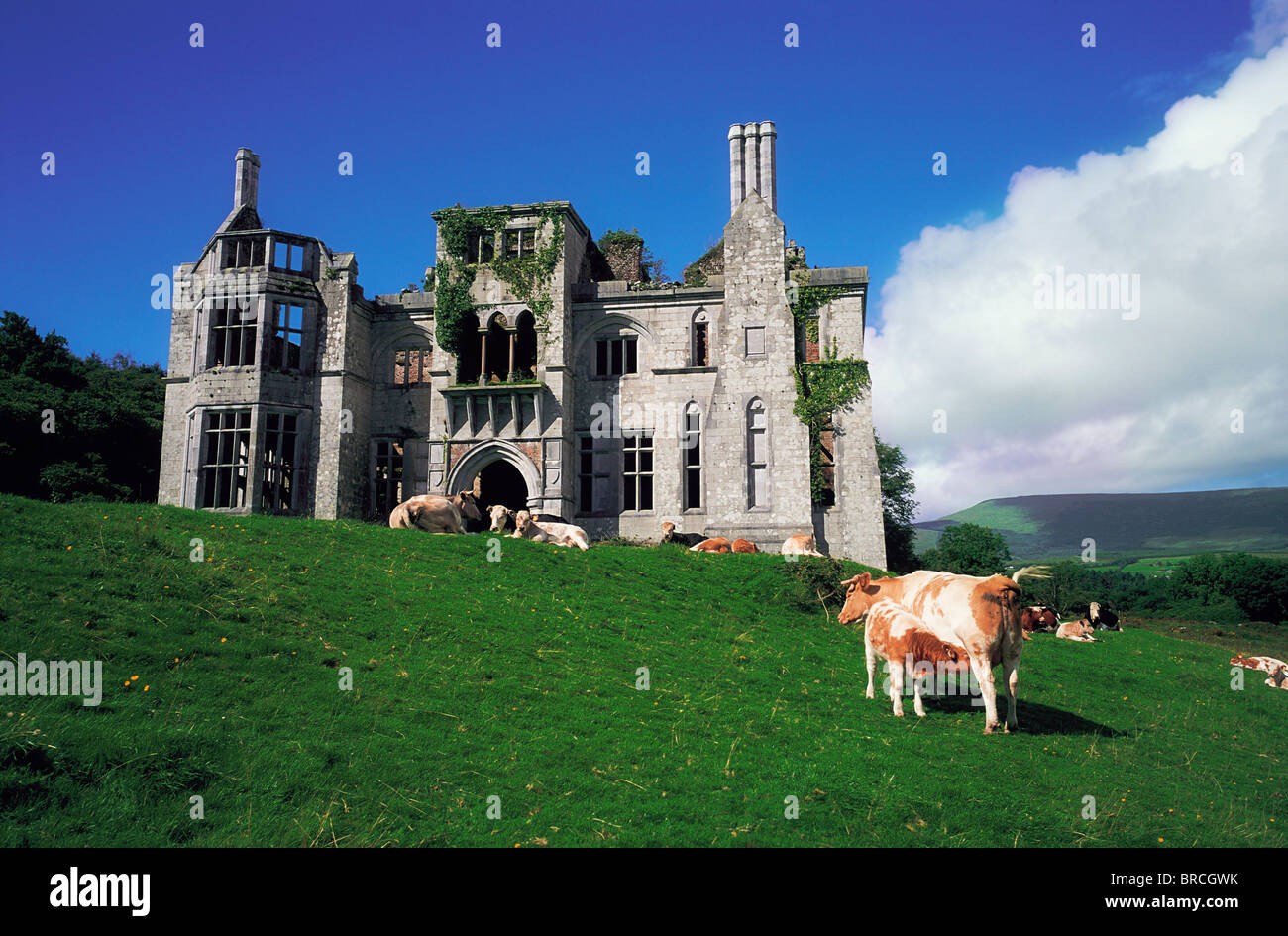 Puxley manor, co cork hi-res stock photography and images - Alamy