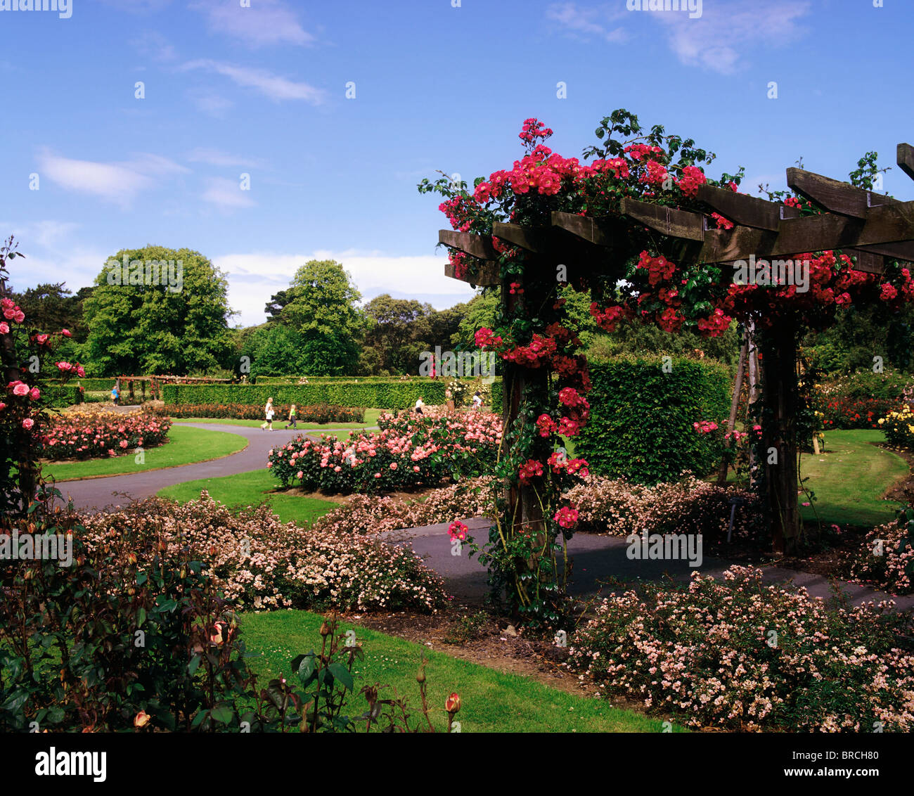 Saint anne's park dublin hi-res stock photography and images - Alamy