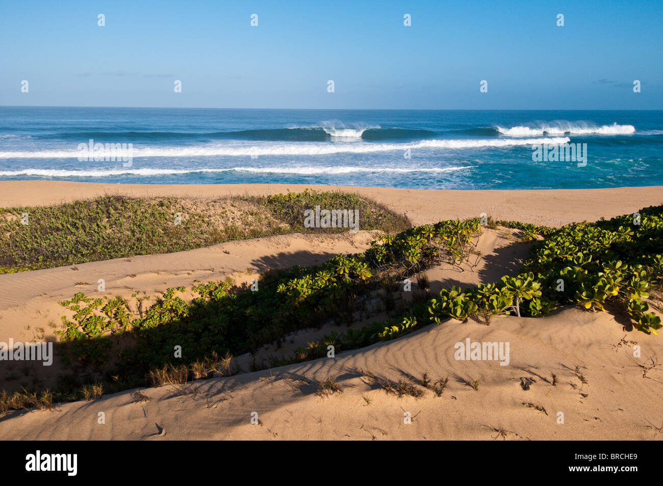 Polihale state park hi-res stock photography and images - Alamy