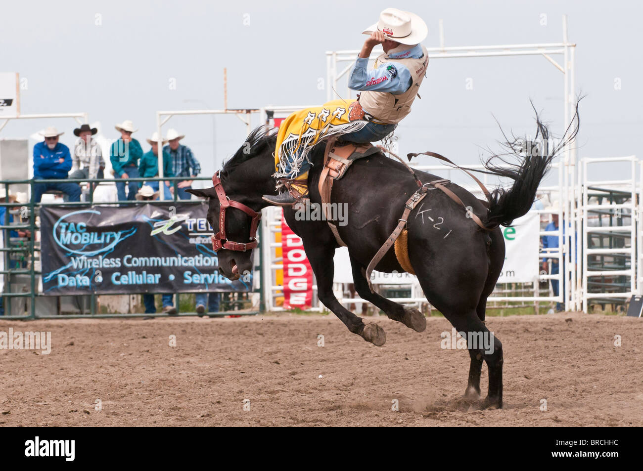 Cowboy, saddle bronc riding, Strathmore Heritage Days, Rodeo ...