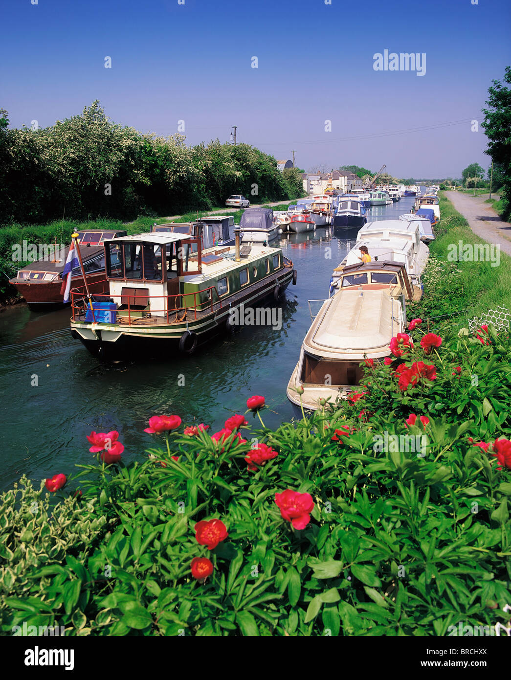 Lowtown Marina, Grand Canal, Co Kildare, Ireland; Boats On The Grand ...