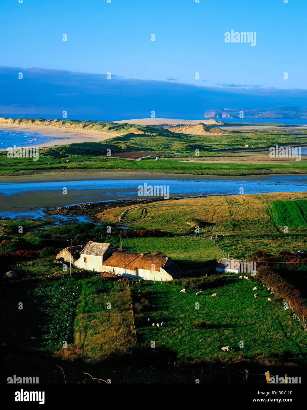 Gort hi-res stock photography and images - Alamy