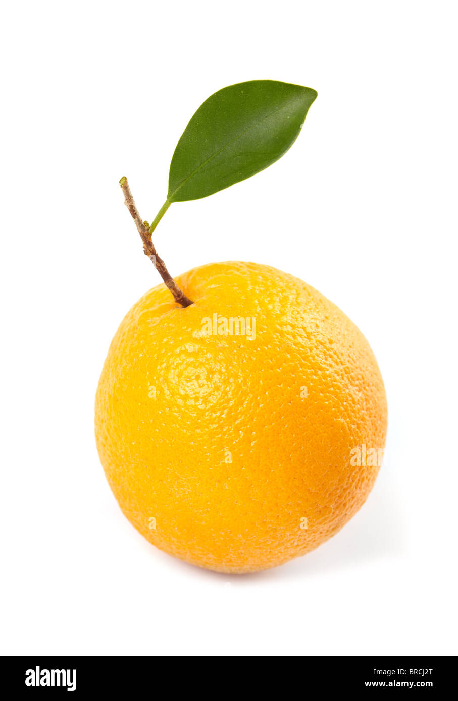 Isolated orange green color Cut Out Stock Images & Pictures - Alamy