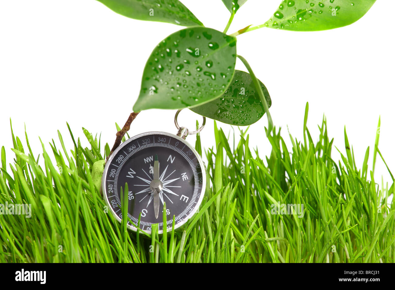 compass in green grass Stock Photo - Alamy