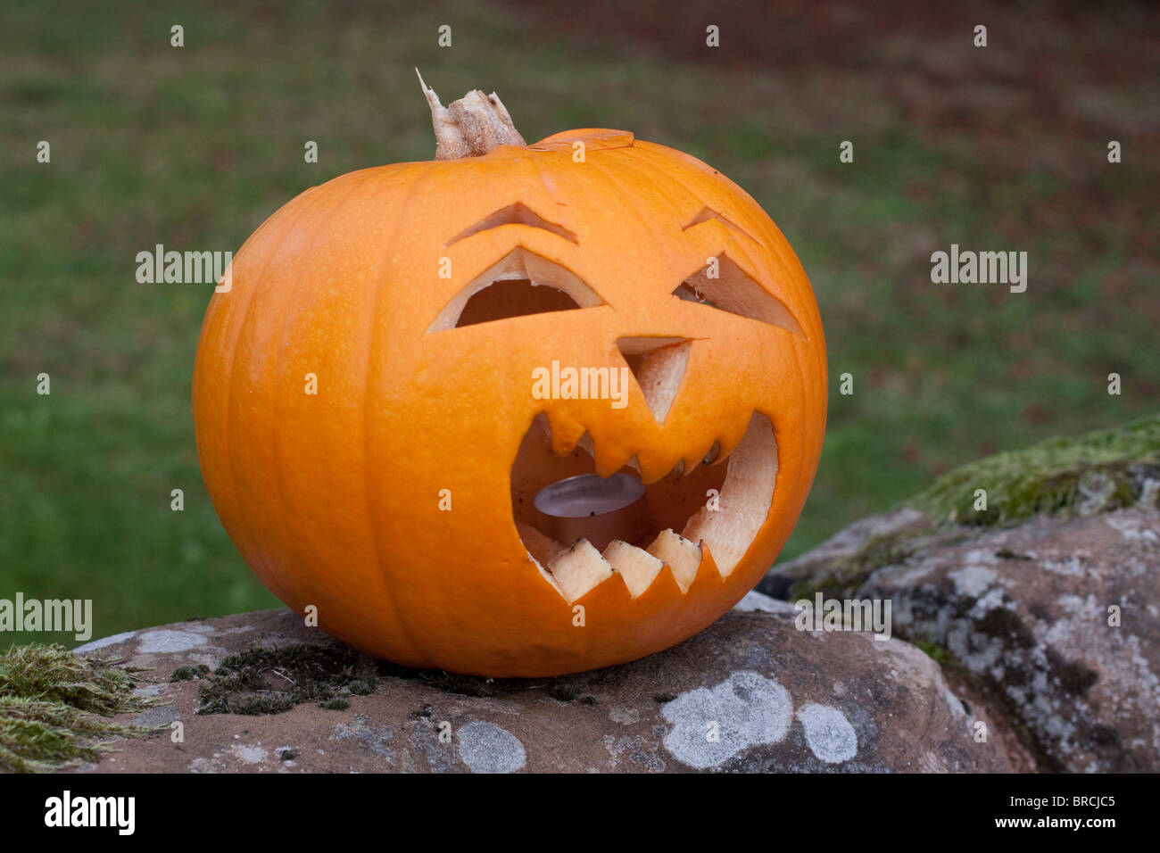 Halloween pumpkins with carved faces Stock Photo - Alamy