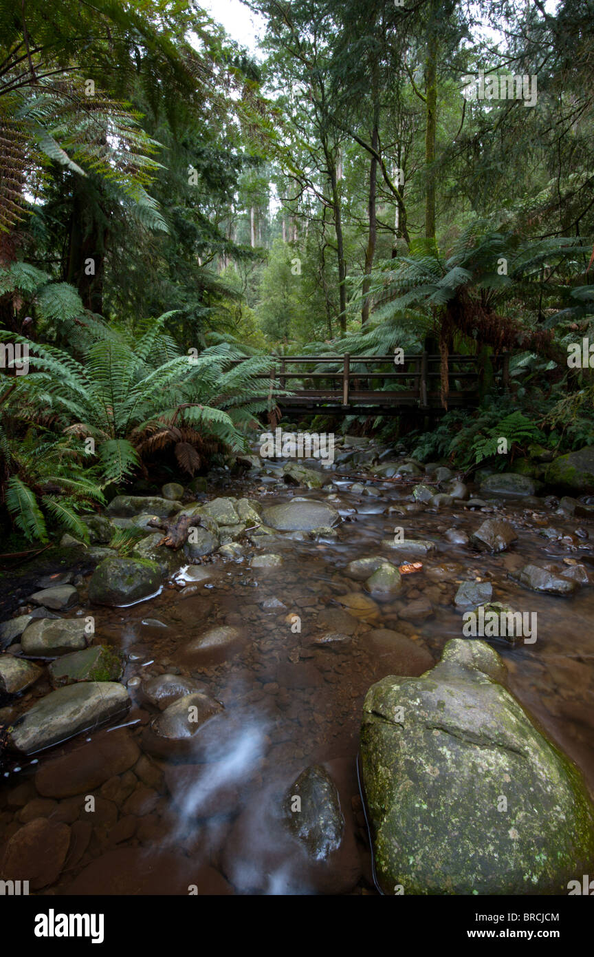 A gentle stream running through Badger Creek Victoria Australia Stock ...