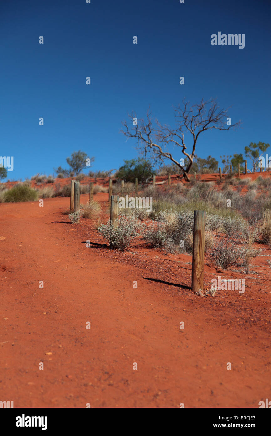 Australian Landscape Desert