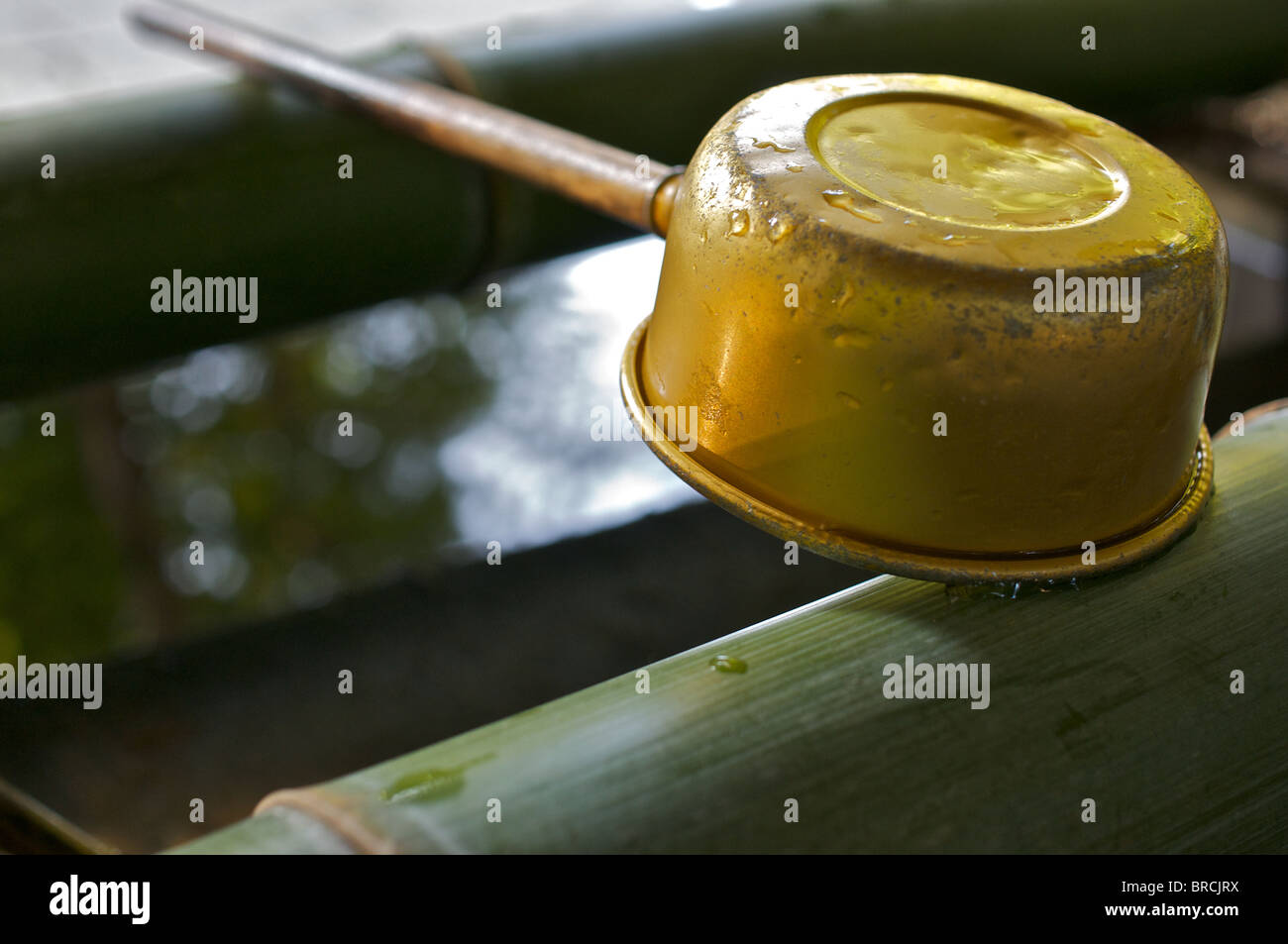 A ladle used for spiritual cleansing at a Shinto temple in Kamakura ...