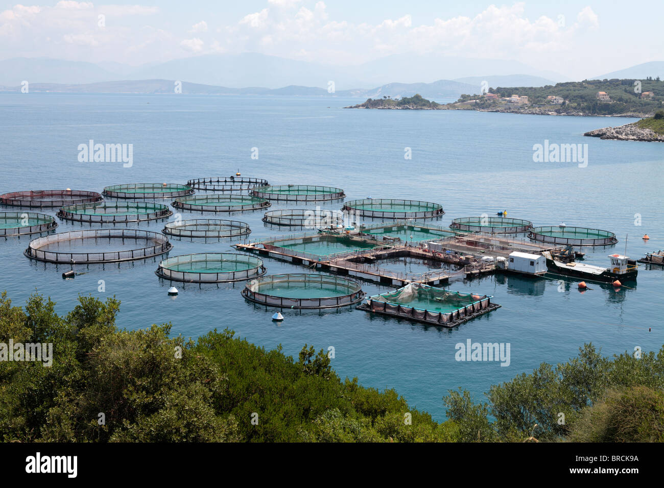 Fish farming corfu hi-res stock photography and images - Alamy