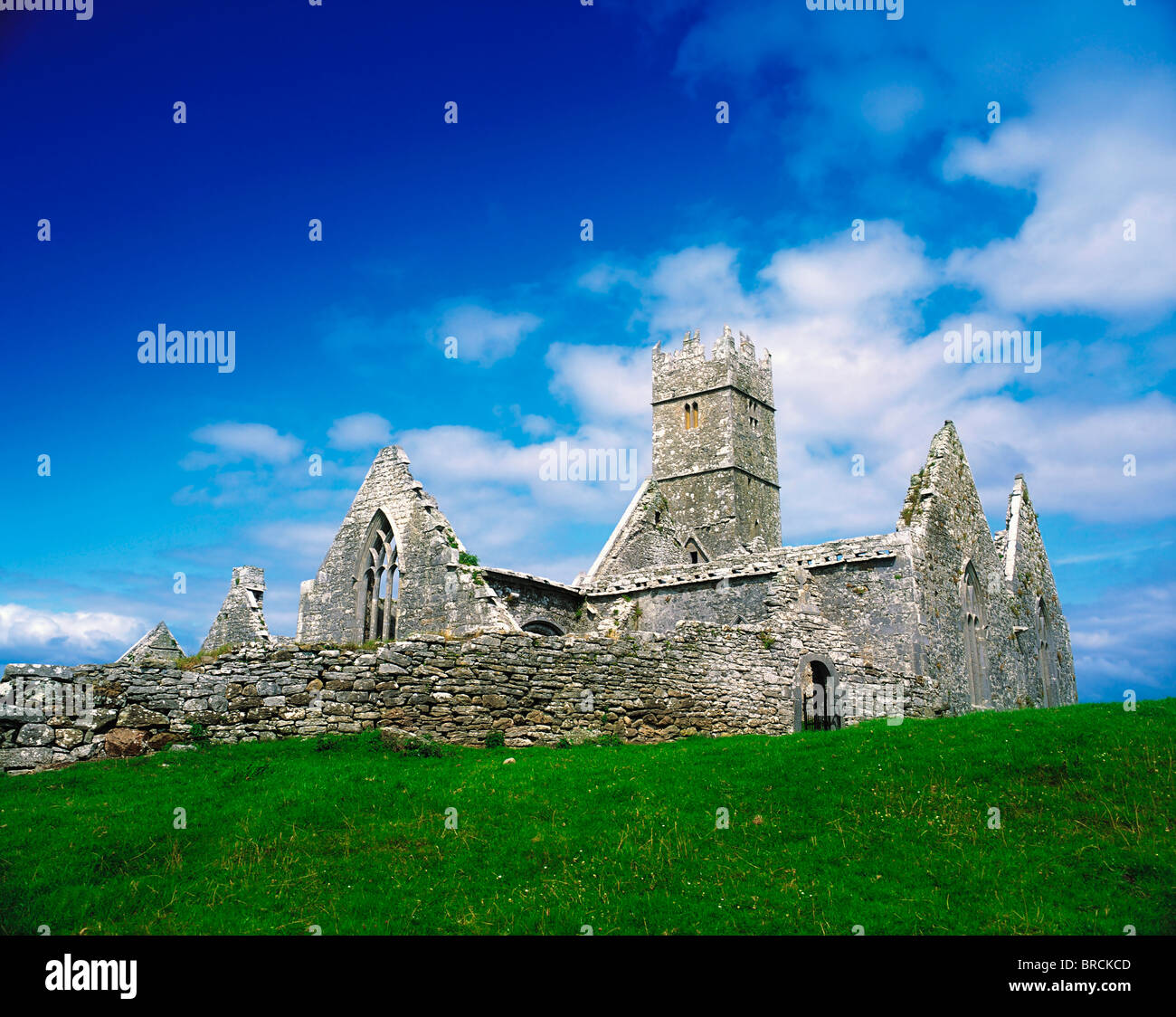Ross Errilly Friary, Co Galway, Ireland, Franciscan Friary Established ...