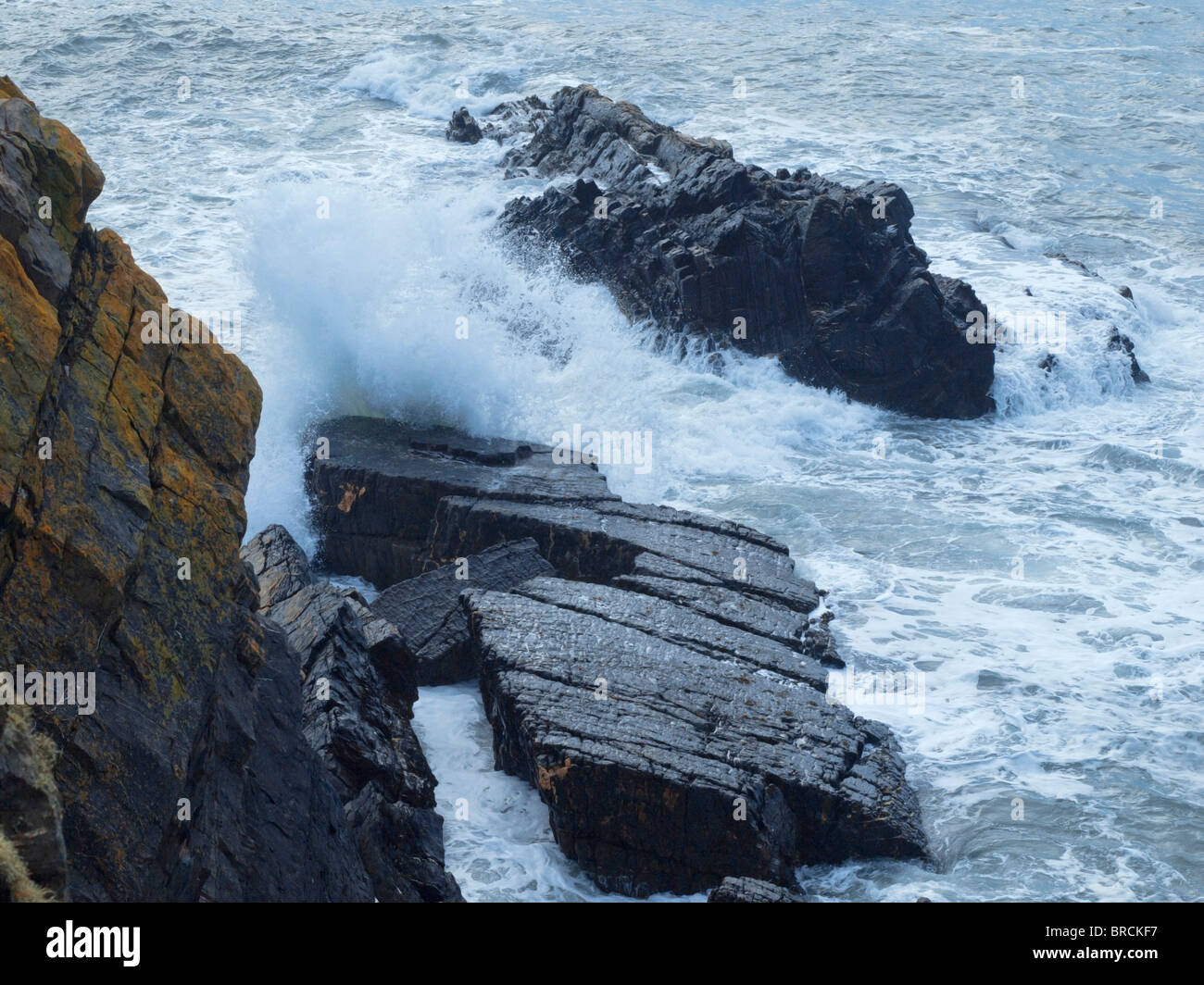 rocks and sea hartland quay devon Stock Photo - Alamy