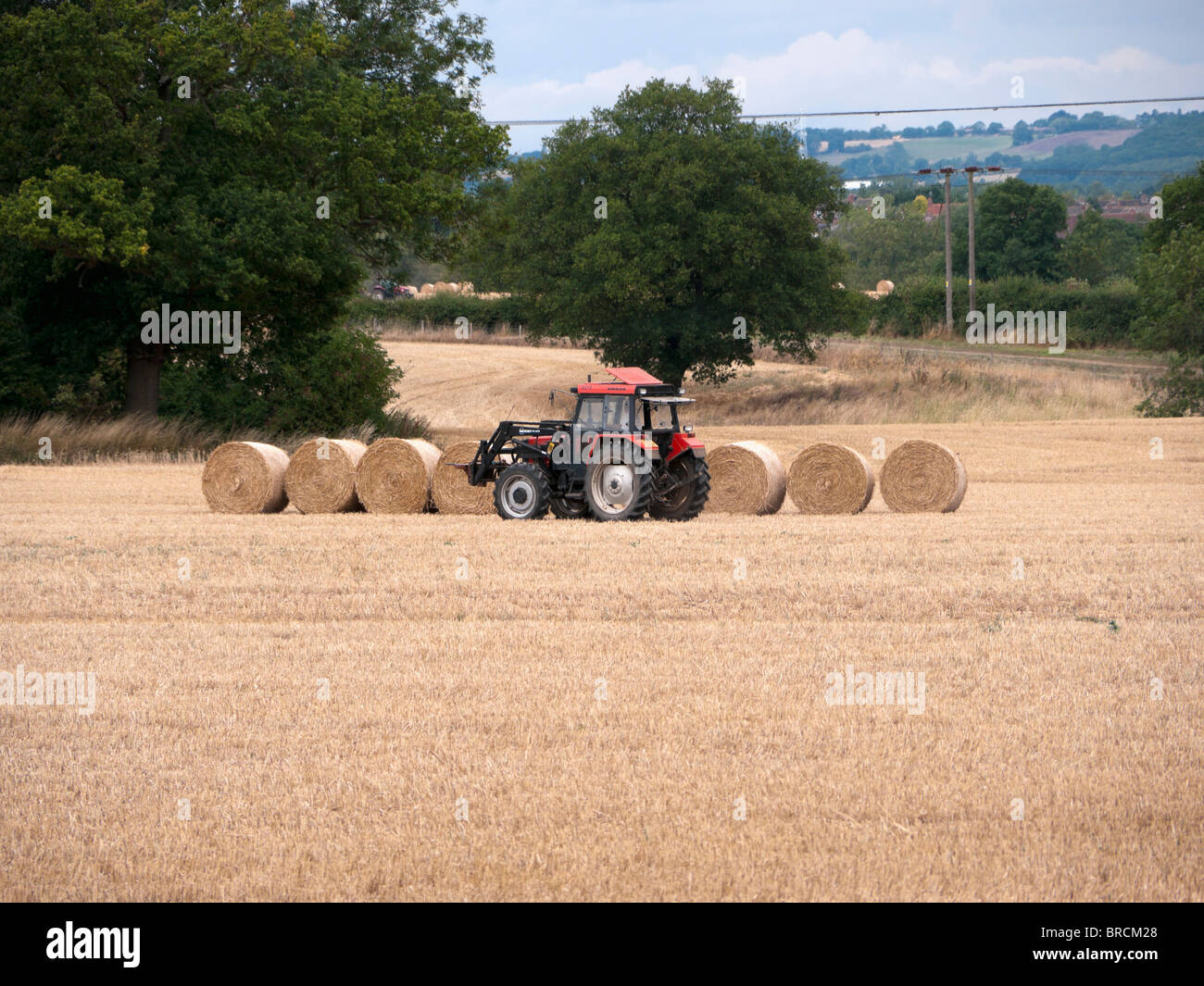 Round bales in cornfield hi-res stock photography and images - Alamy