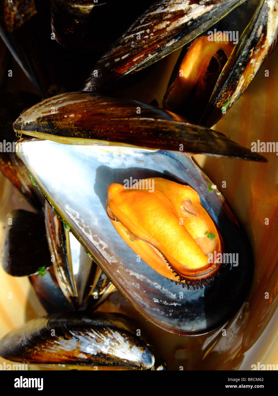 Close up of mussel hi-res stock photography and images - Alamy
