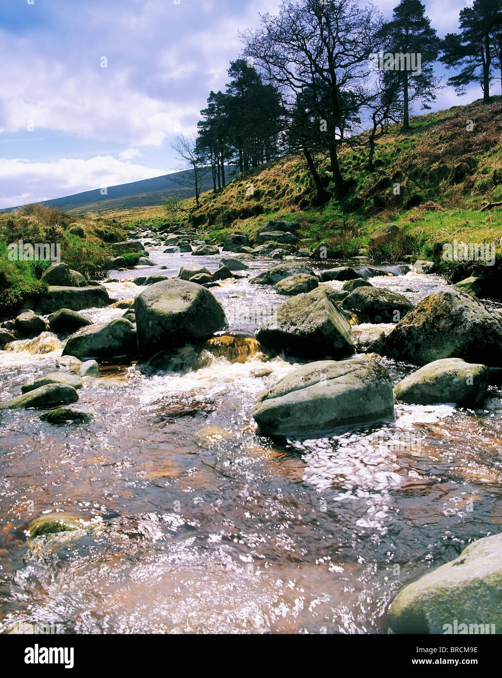 Sally Gap, River Liffey, Co Wicklow, Ireland Stock Photo - Alamy