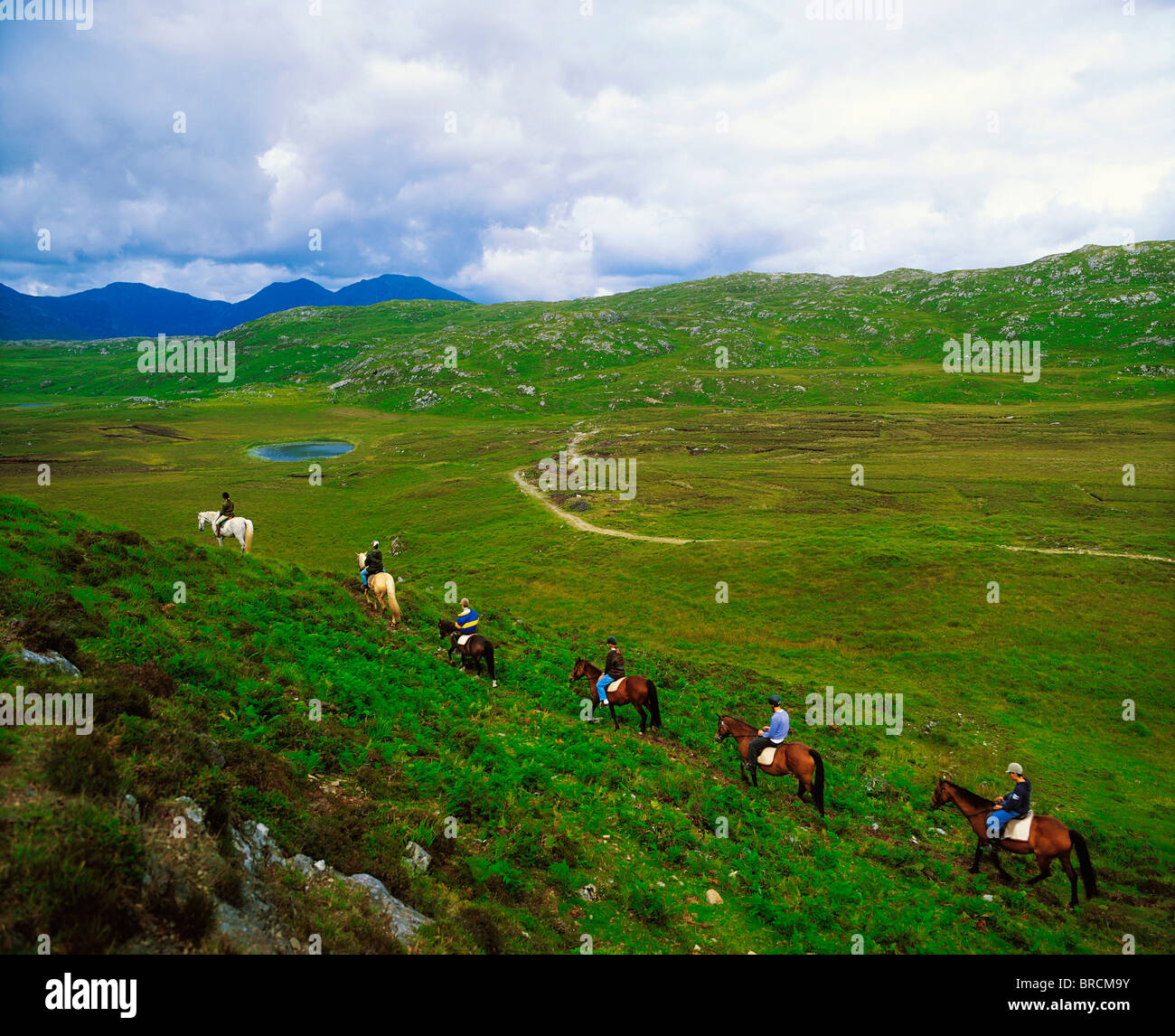 Connemara, Ireland; Pony Trekking Stock Photo - Alamy