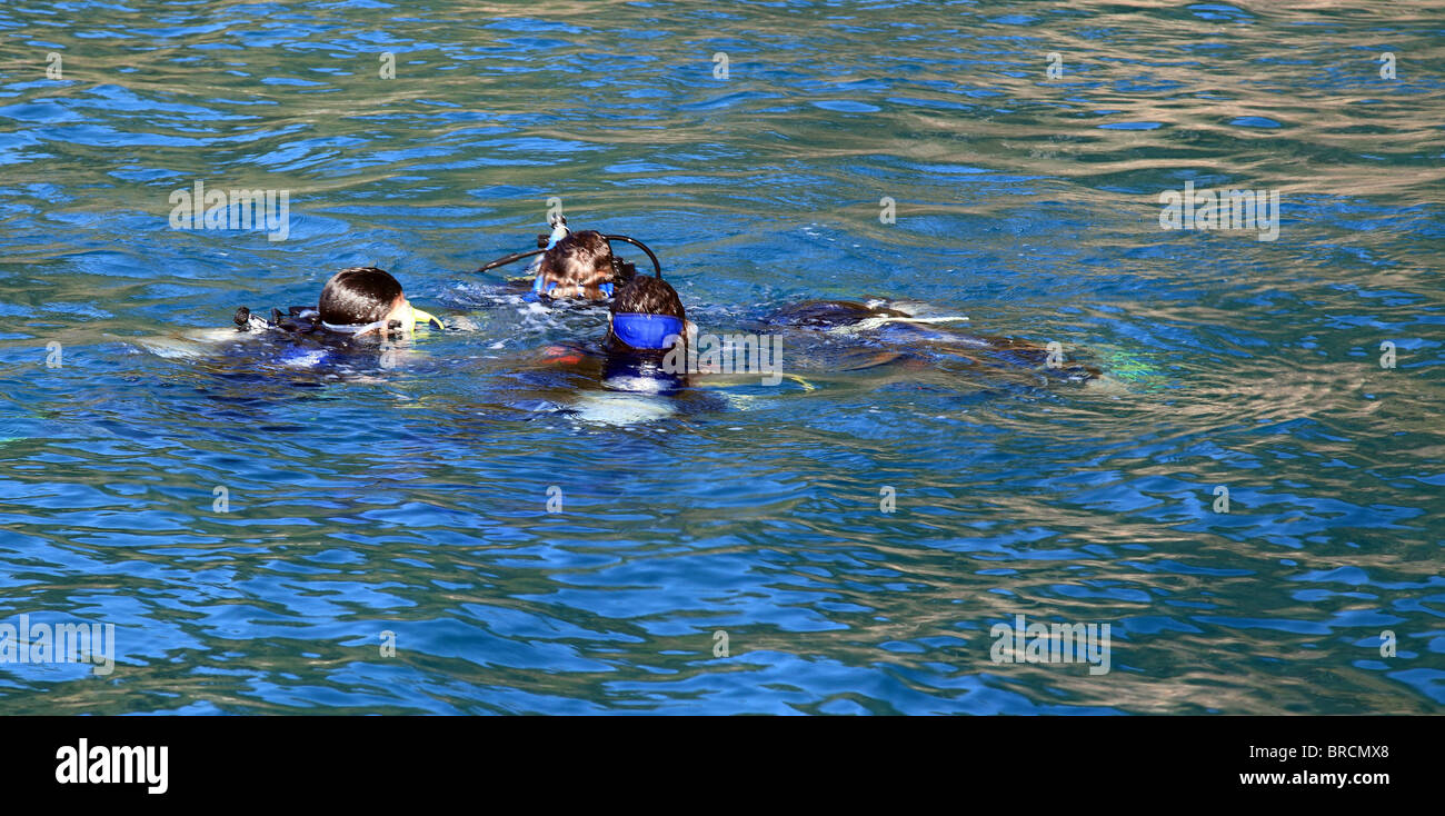 Submerge hi-res stock photography and images - Alamy