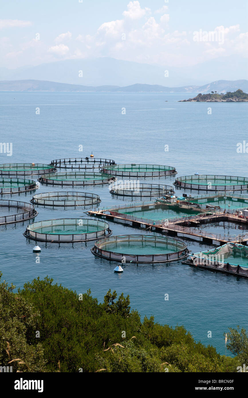 Fish farming corfu hi-res stock photography and images - Alamy