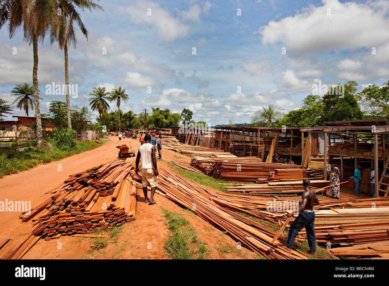 Timber, lumber africa hi-res stock photography and images - Alamy