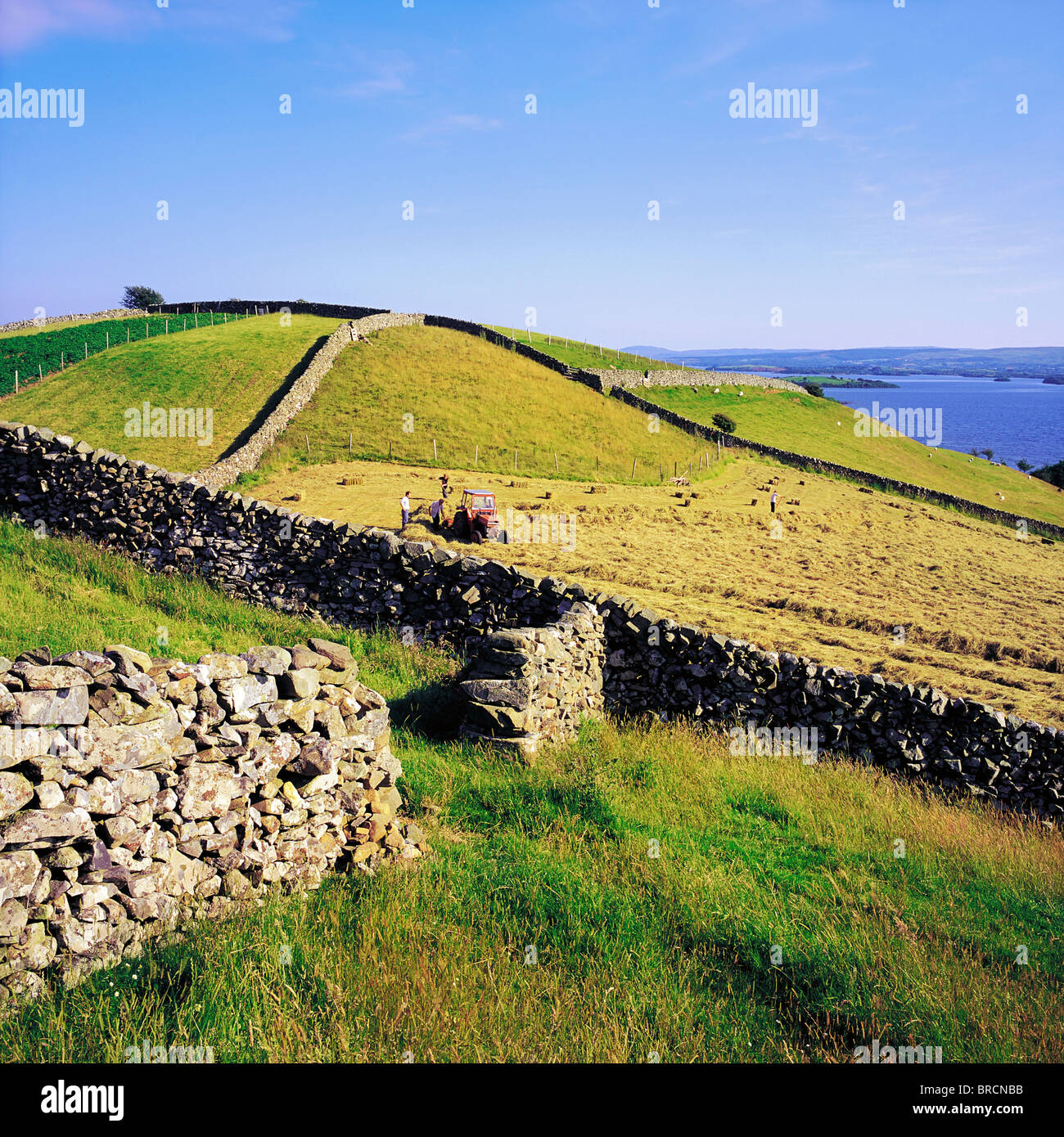Hay making hi-res stock photography and images - Alamy