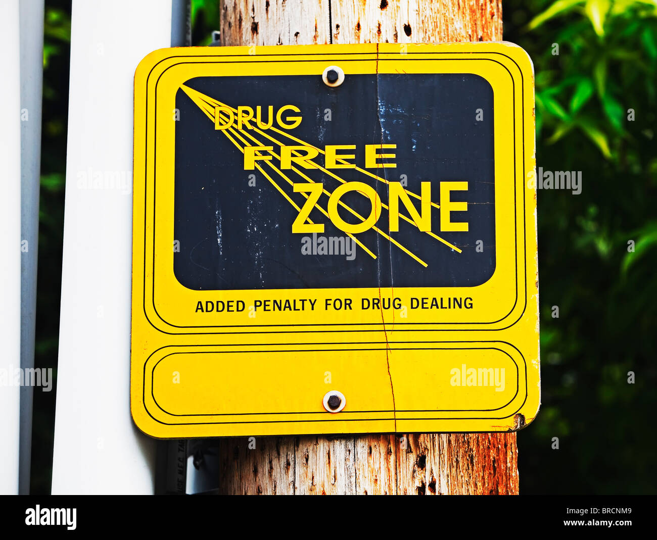 drug free zone sign mounted on phone pole Stock Photo - Alamy
