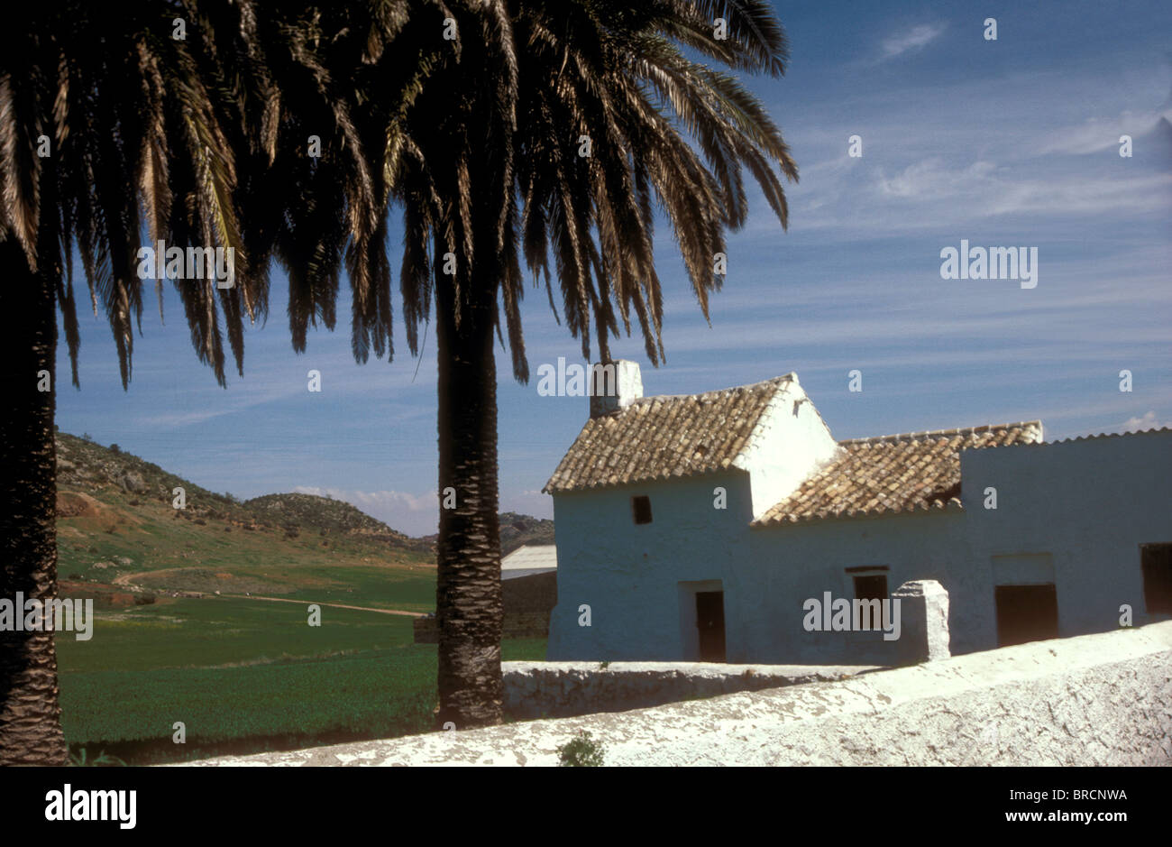 Scenery with farm in Andalusia Spain Stock Photo - Alamy