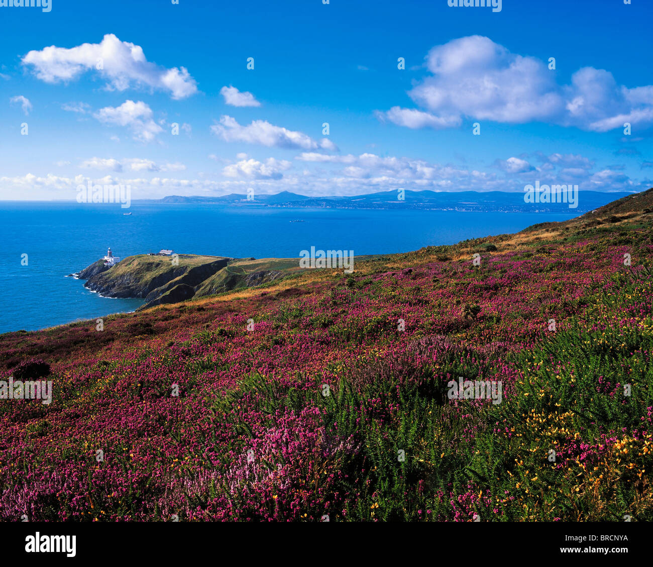 Dublin Bay, View From Howth, Ireland Stock Photo, Royalty Free Image ...