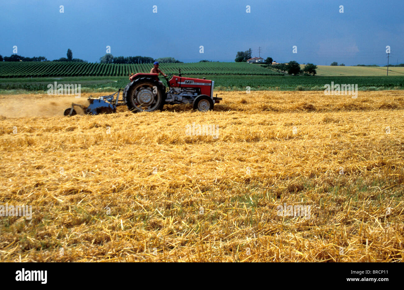Swiss farmer on tractor in newly harvested wheat field Stock Photo - Alamy