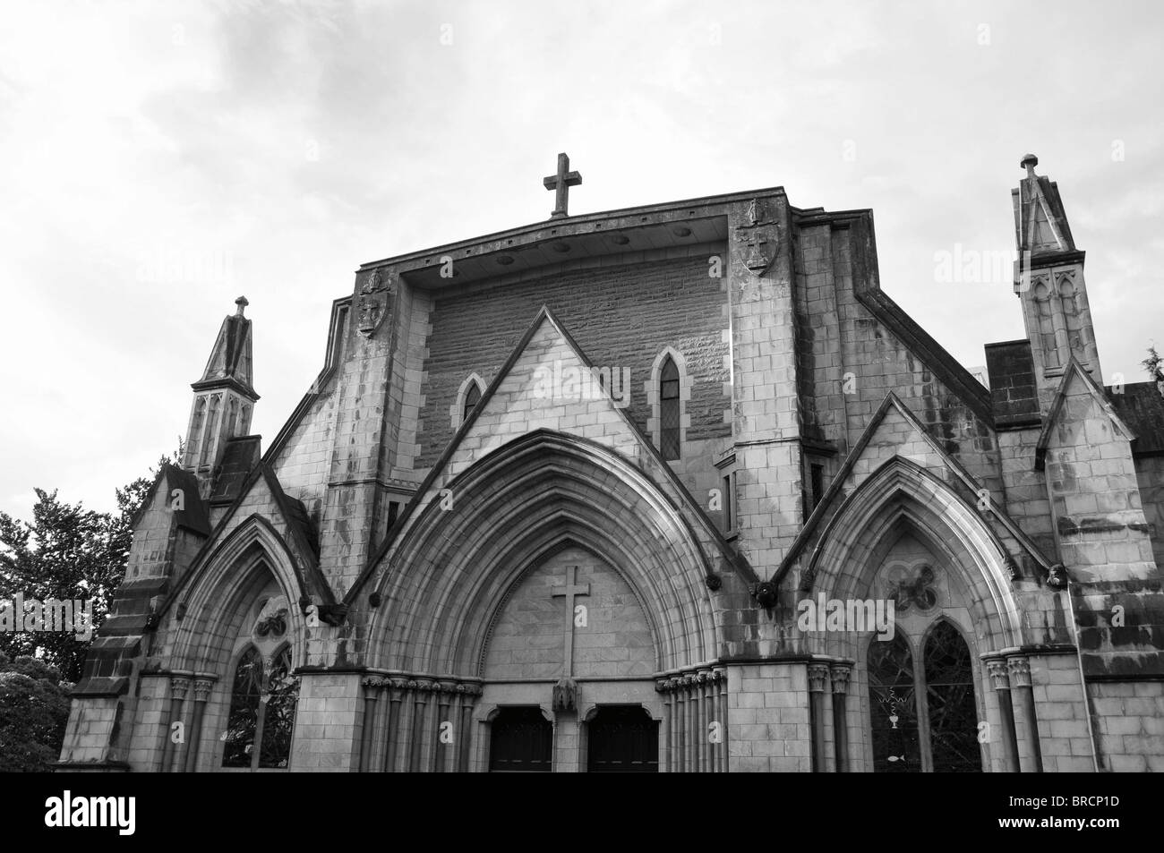 New Zealand, South Island, Nelson, Christ Church Anglican Cathedral ...