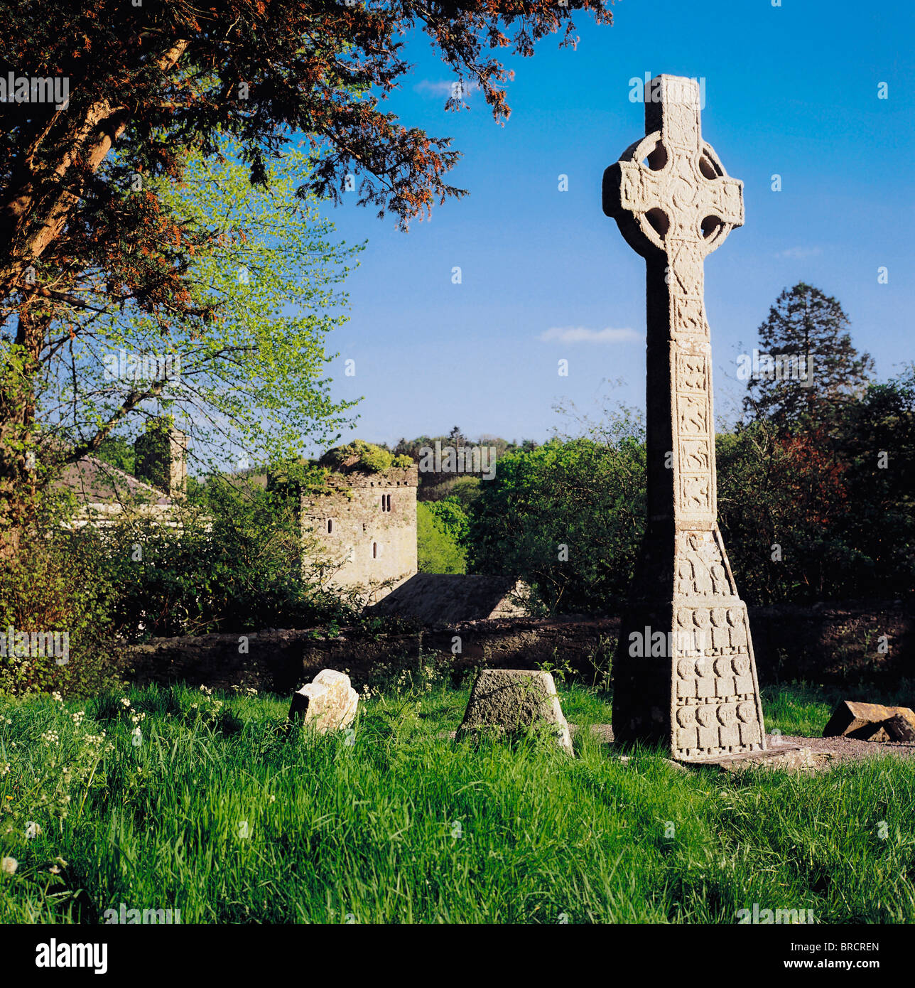 Moone High Cross, Co Kildare, Ireland Stock Photo - Alamy