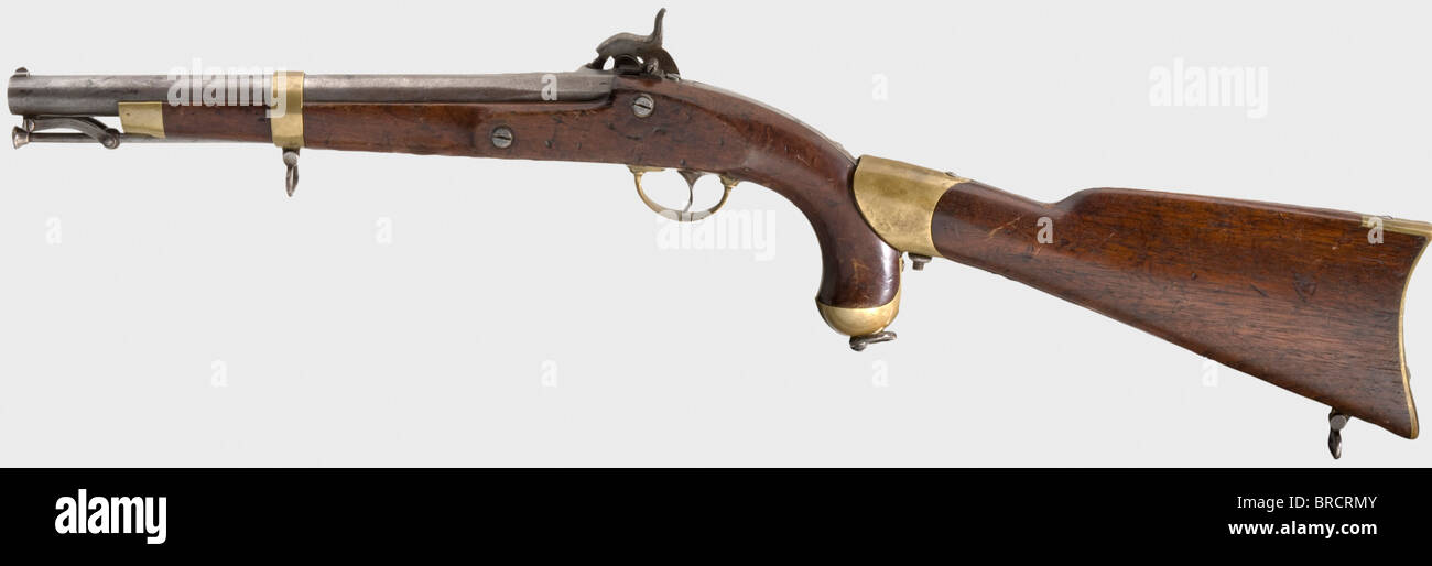 Springfield model 1855 percussion pistol carbine hi-res stock ...