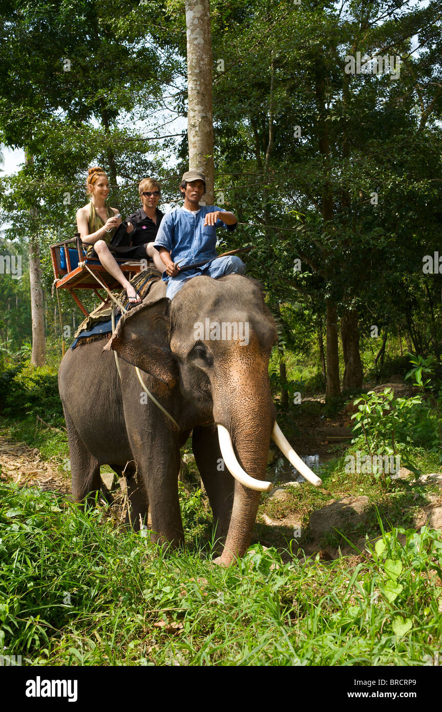 Elephants trekking hi-res stock photography and images - Alamy