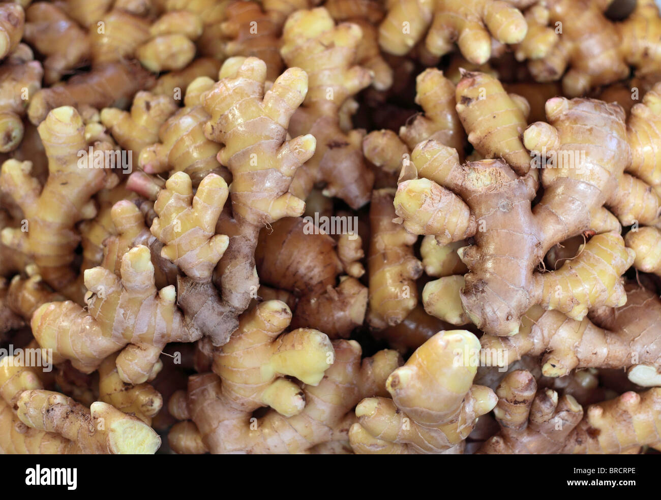Fresh ginger at a market stall Stock Photo - Alamy