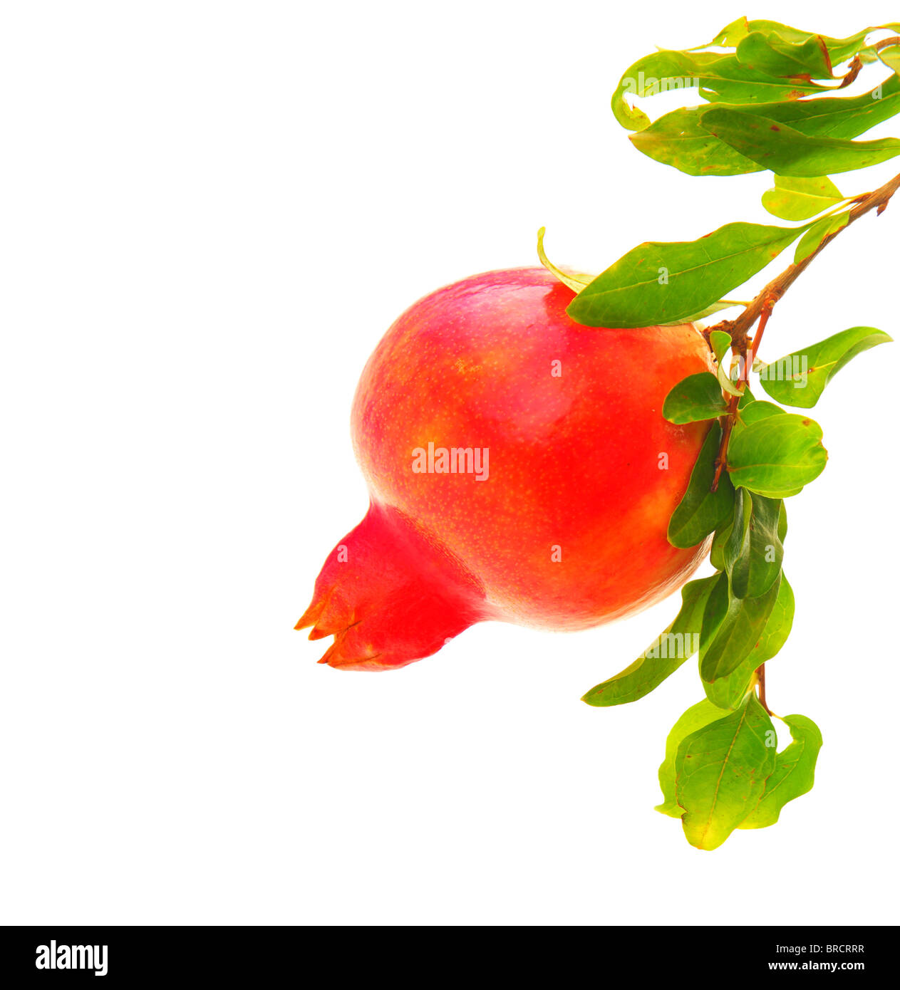 Red pomegranate isolated on white background Stock Photo - Alamy