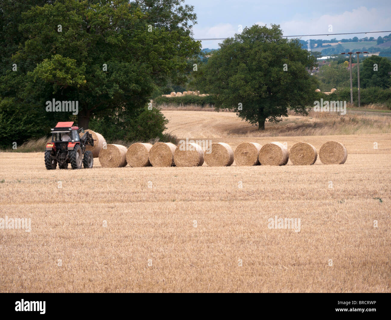 crops growing in a field Stock Photo - Alamy