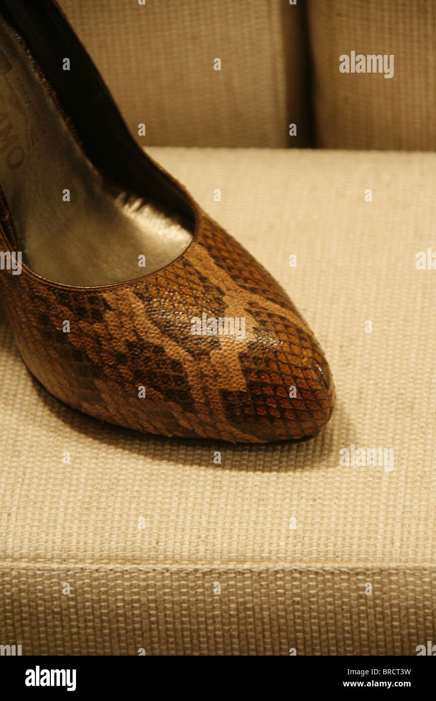 female snake skin shoe in shop on via condotti, rome Stock Photo - Alamy