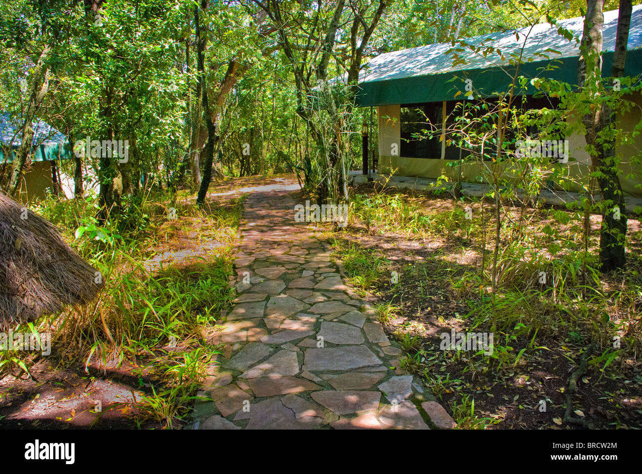 Tents in the Mara Intrepids Camp, Masai Mara National Reserve, Kenya ...