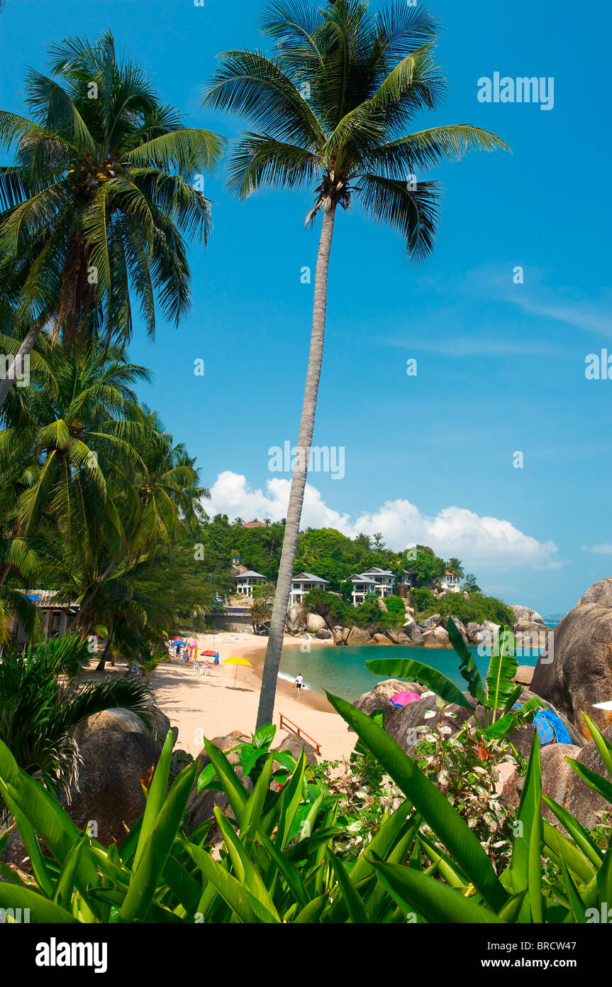 Coral cove beach koh samui hi-res stock photography and images - Alamy