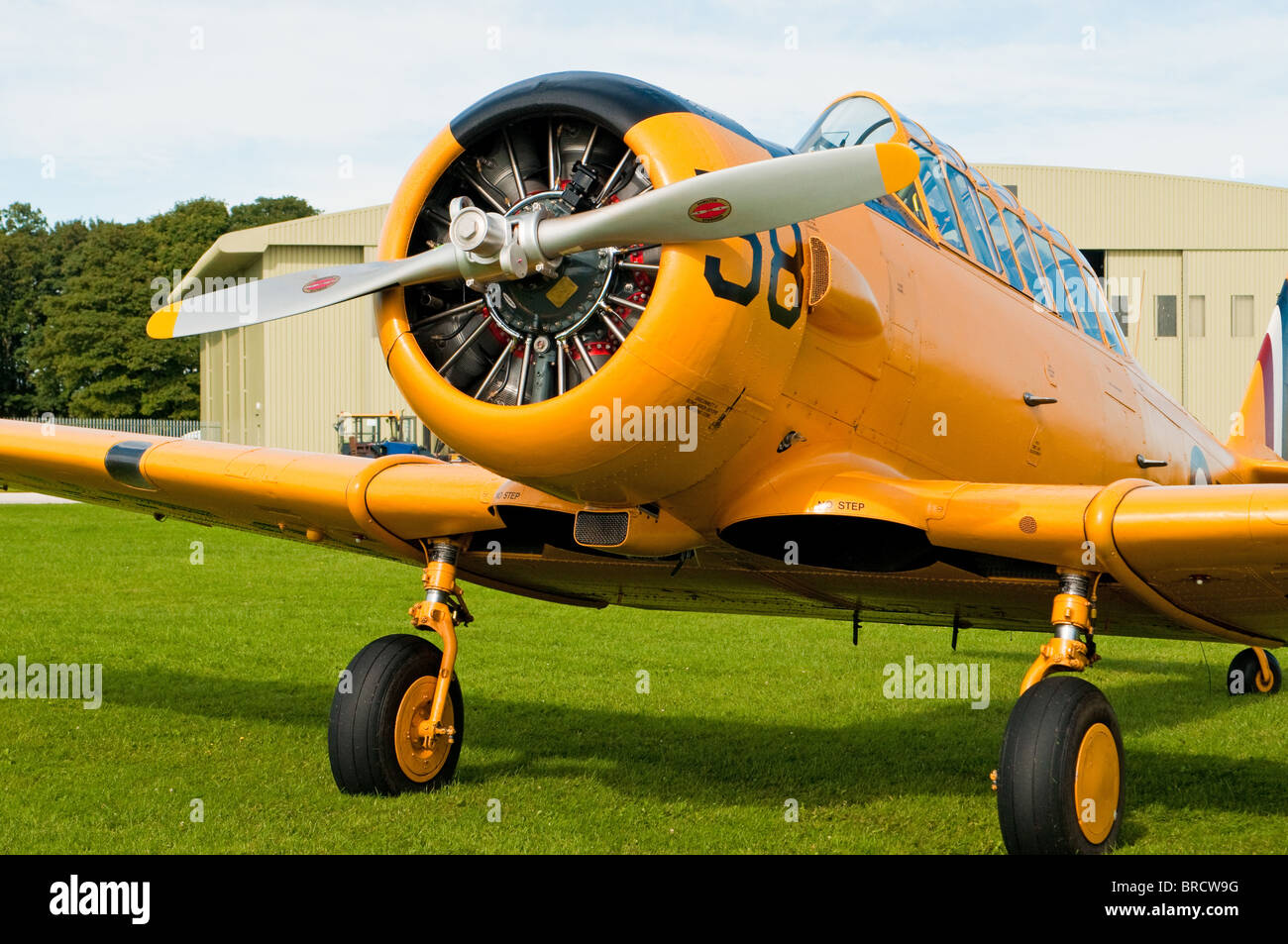 T6 texan plane hi-res stock photography and images - Alamy