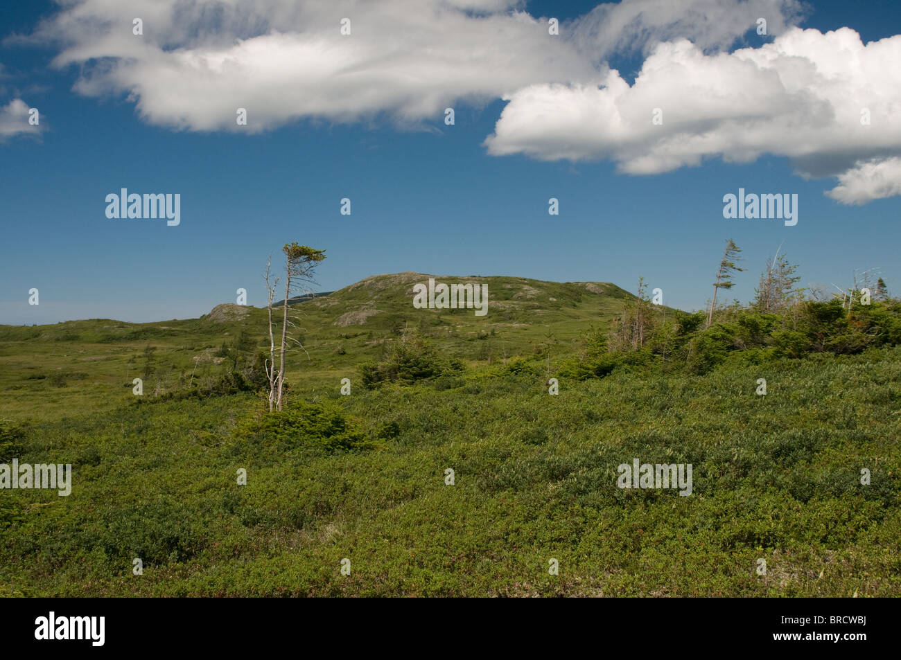 The lookout trail hi-res stock photography and images - Alamy