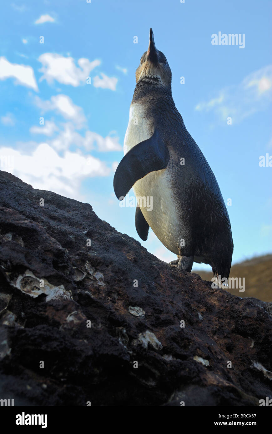 Rm glp uwd5064 hi-res stock photography and images - Alamy